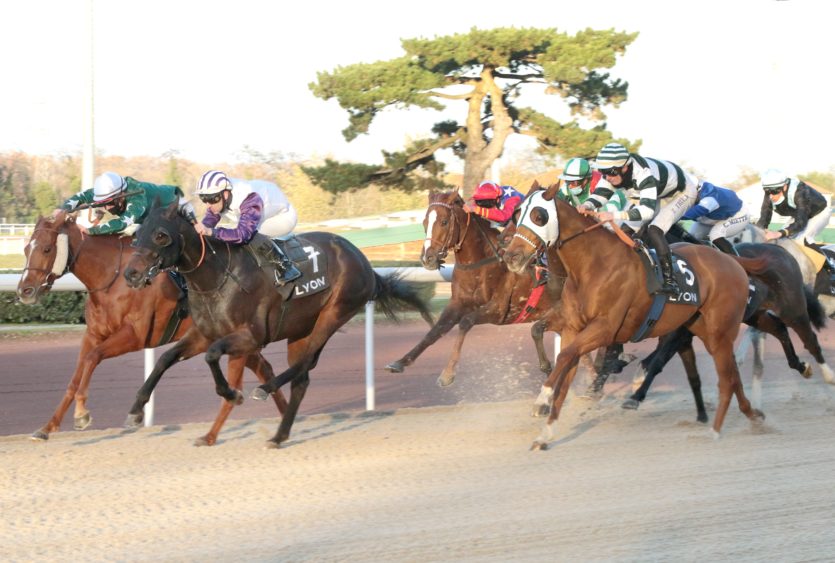 Rétrospective d’un automne en deux temps - Les hippodromes de Lyon ...